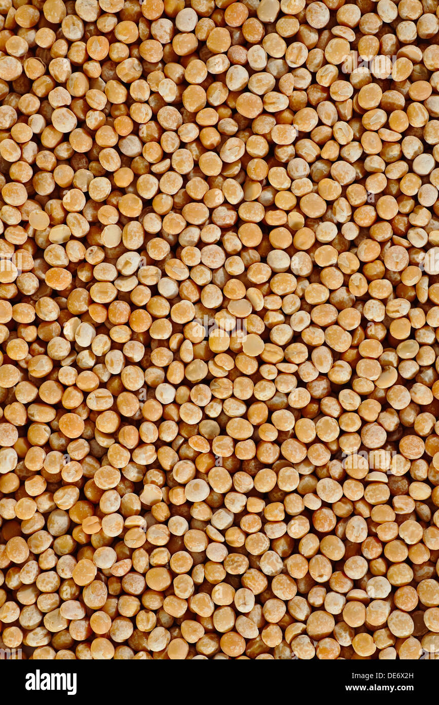 The texture of gold coarse dry peas vertical Stock Photo - Alamy