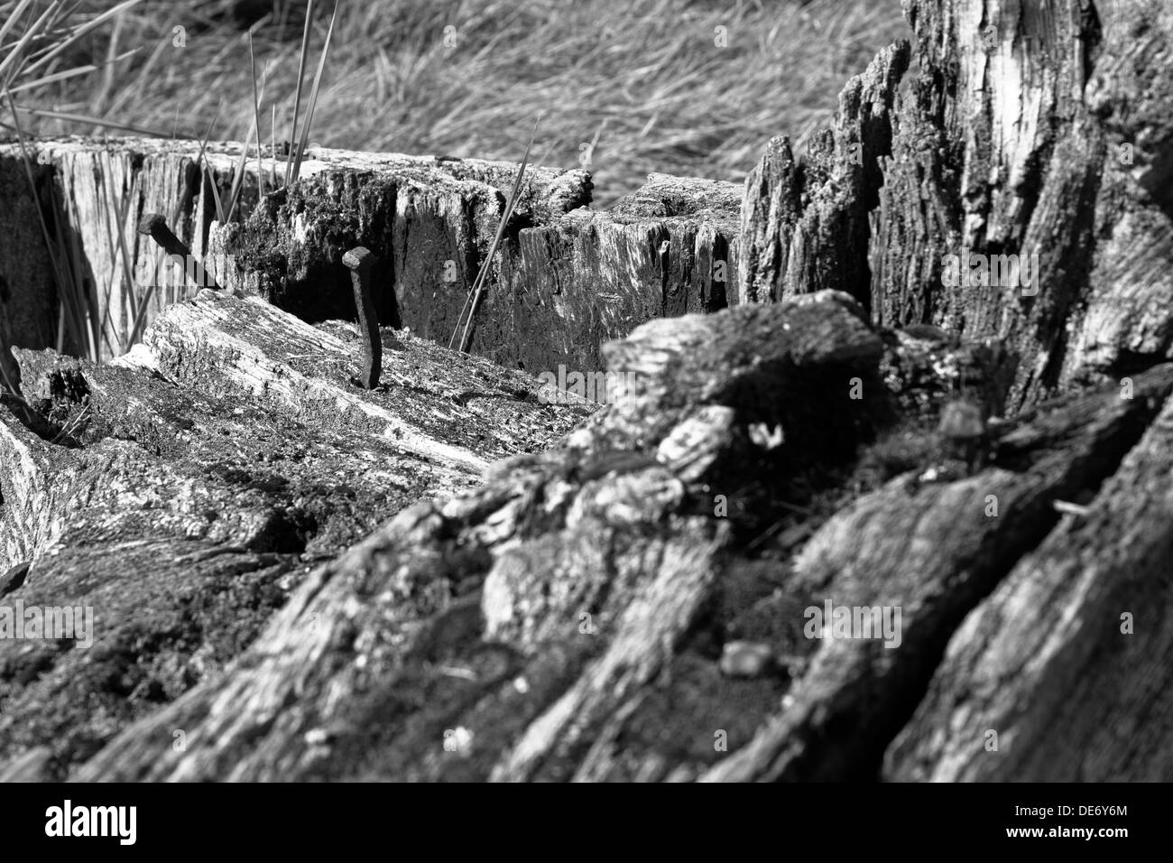 Purton Hulks ship graveyard on the banks of the River Severn in ...