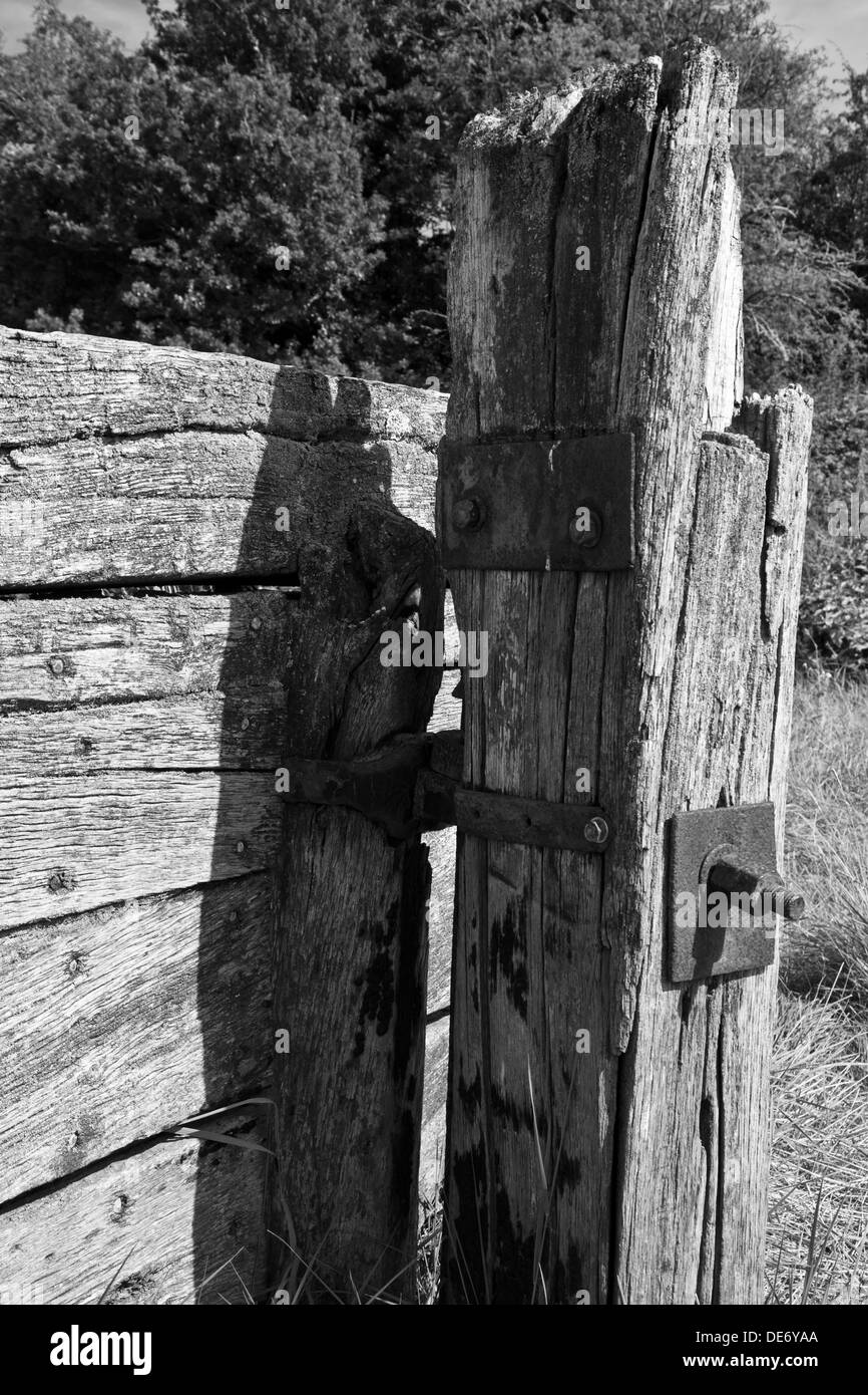 Purton Hulks ship graveyard on the banks of the River Severn in ...