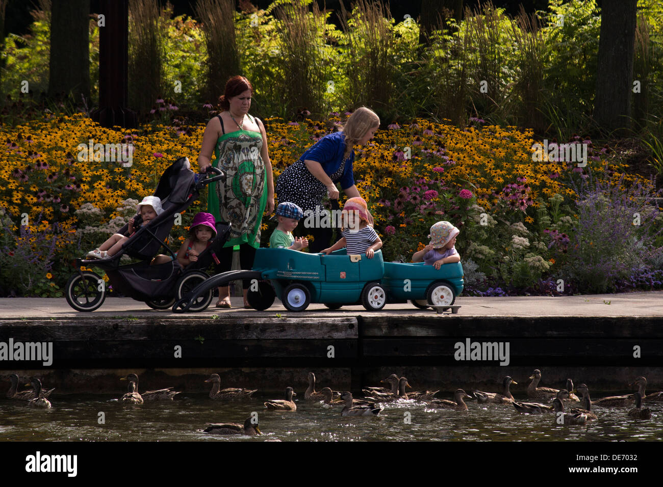 5 Toddlers and 2 women feeding ducks at Carew Park in Lindsay, Ontario ...