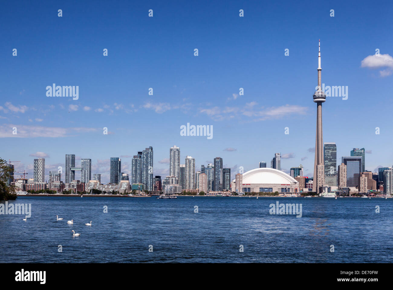 View cn tower from harbourfront hi-res stock photography and images - Alamy
