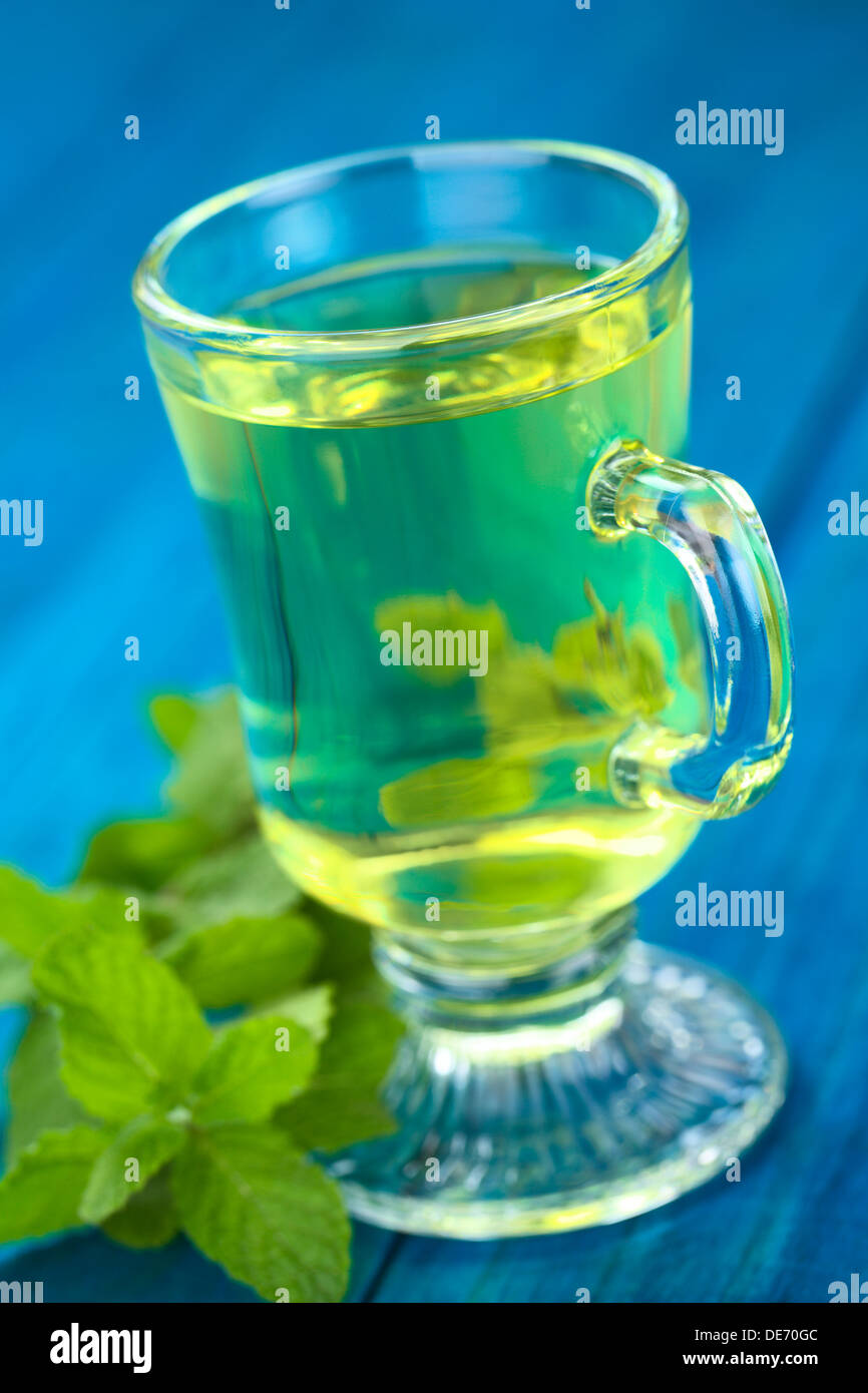 Freshly prepared tea out of the Peruvian herb called Muña (lat ...