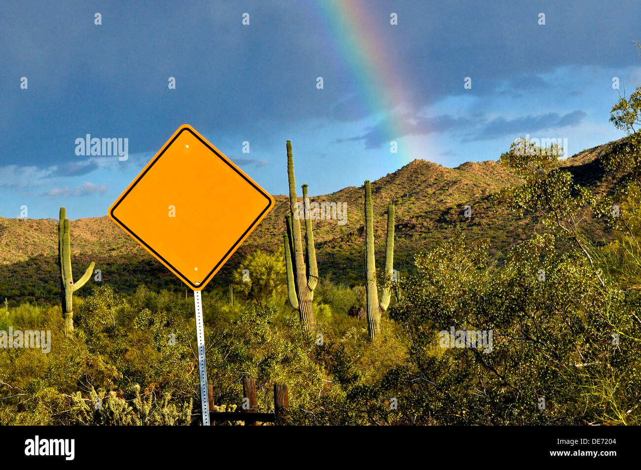 Arizona Desert road sign blank with rainbow and saguaro cactus Stock ...