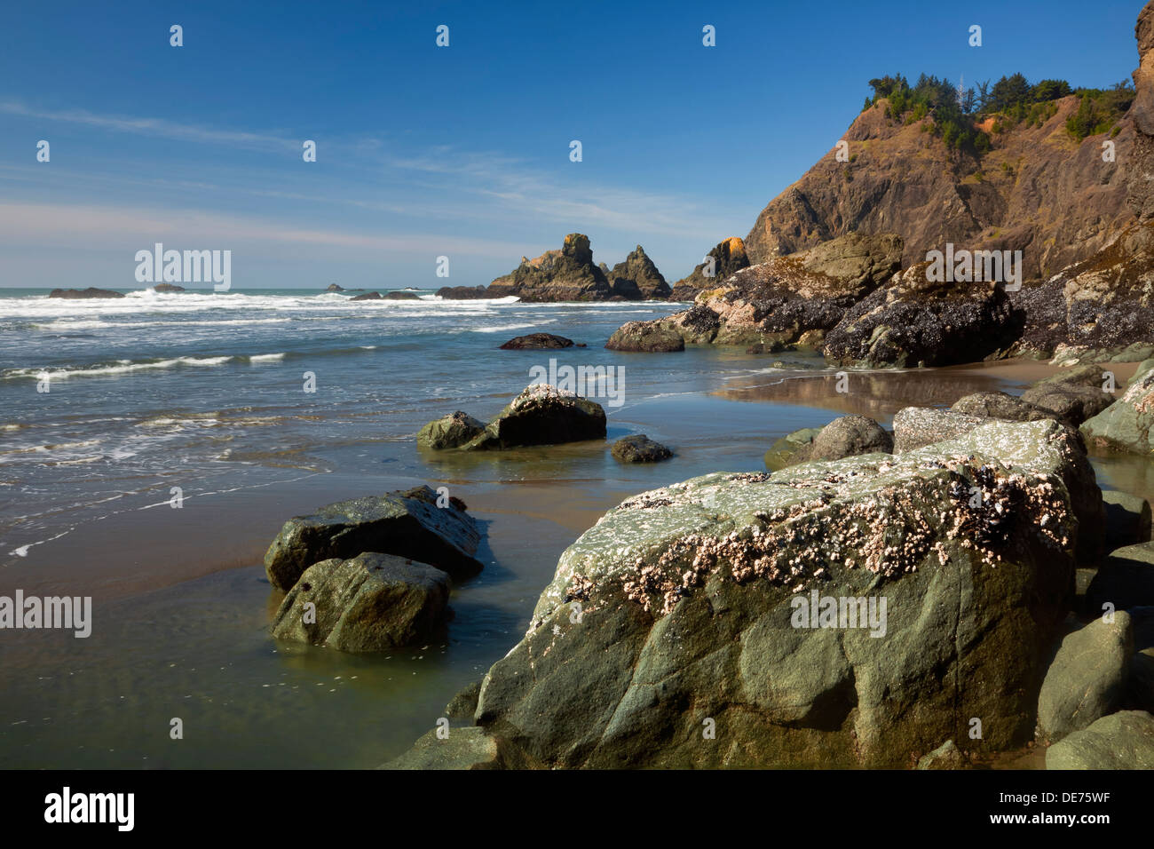 Samuel H Boardman State Park Stock Photos & Samuel H Boardman State ...