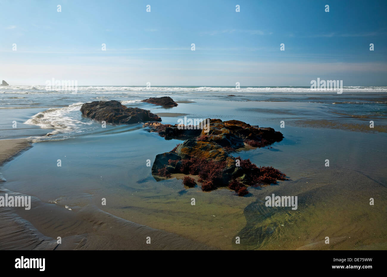 OREGON - Rocks in the intertidal zone of China Beach on the Pacific ...