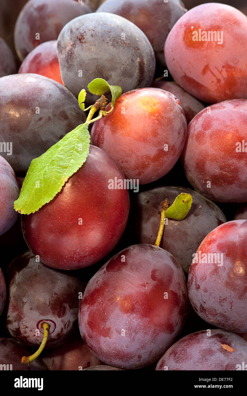 Bunch of plums Stock Photo - Alamy
