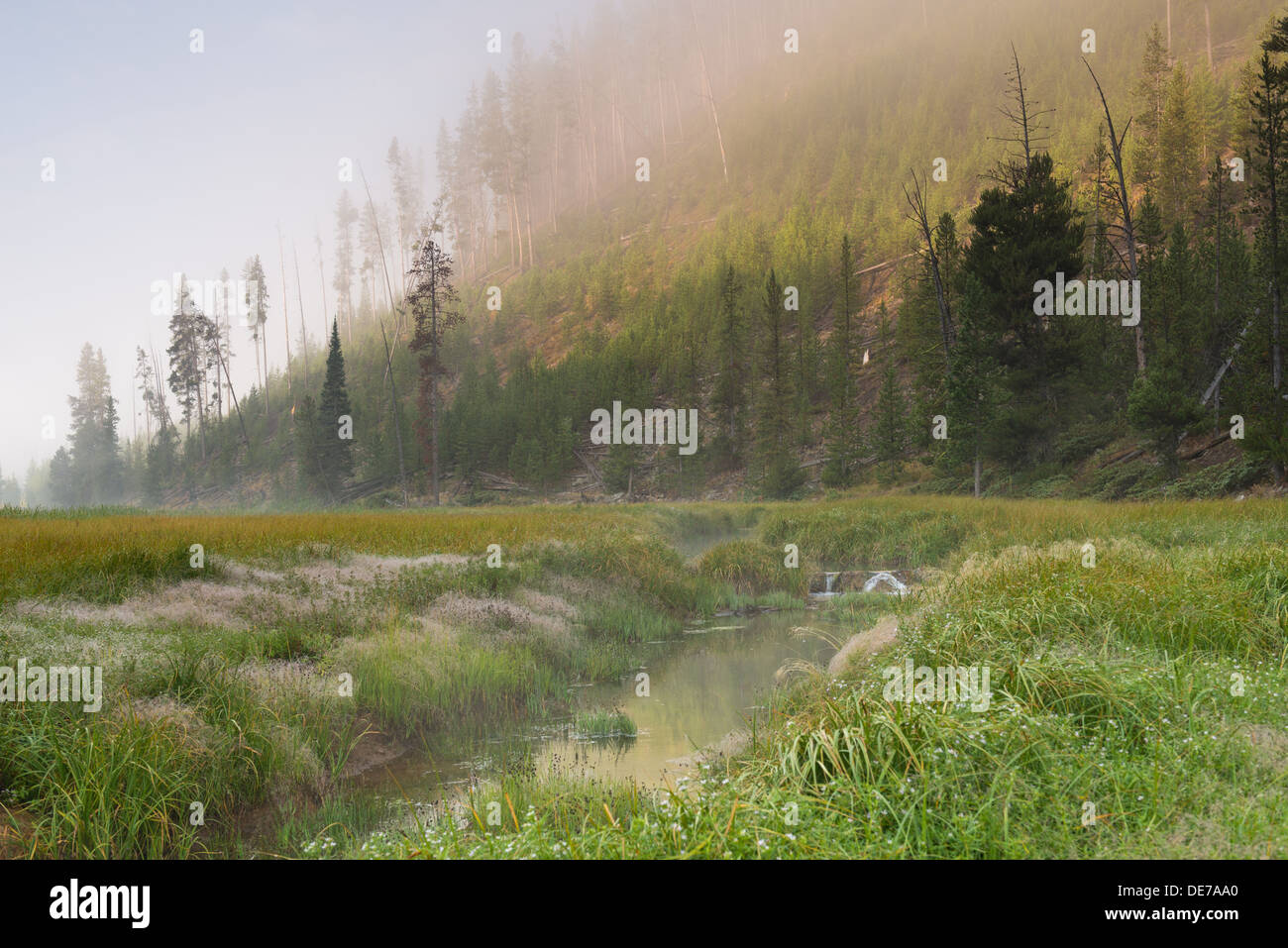 Rising From The Ground High Resolution Stock Photography and Images - Alamy