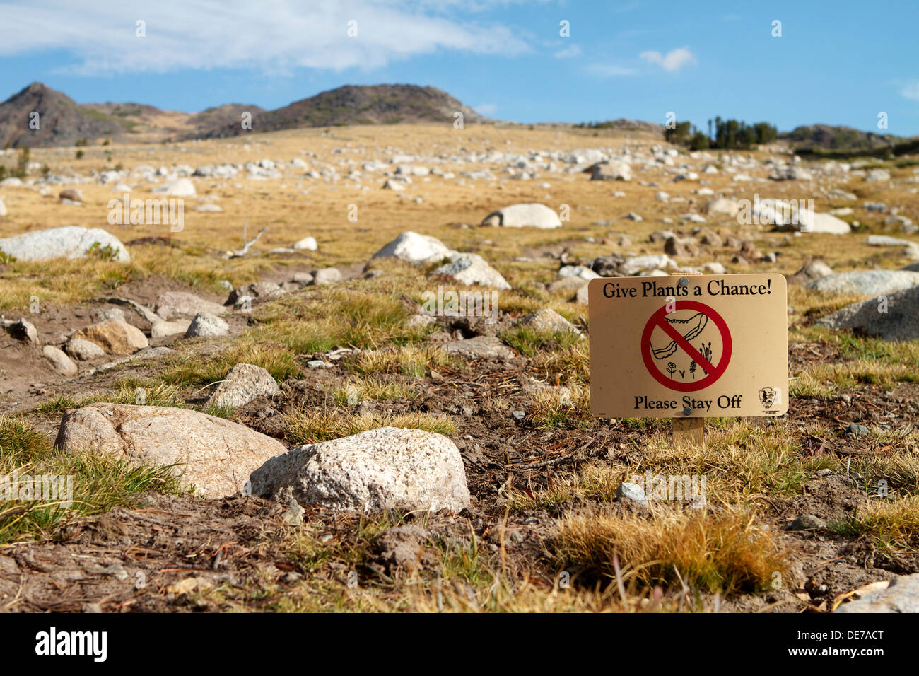 Give plants a chance sign hi-res stock photography and images - Alamy
