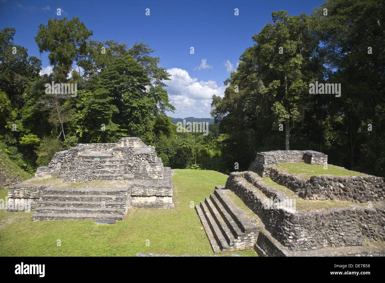 Caracol Maya Ruins Belize High Resolution Stock Photography and Images ...