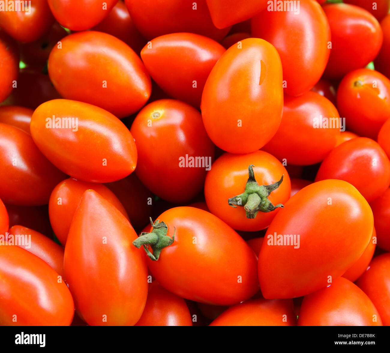 Rosa tomatoes hi-res stock photography and images - Alamy