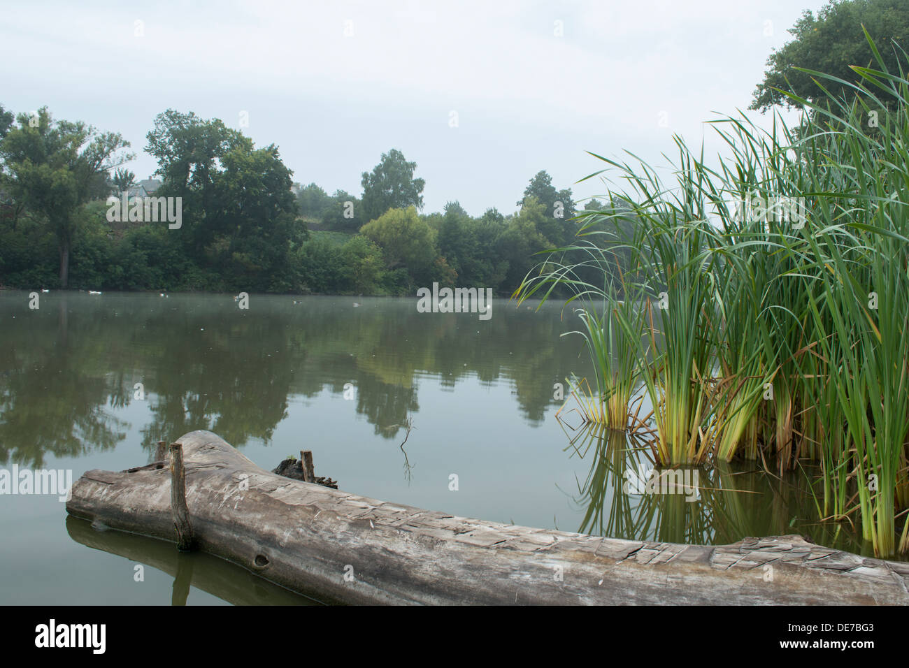 Pond, Lake, Ukraine Stock Photo - Alamy