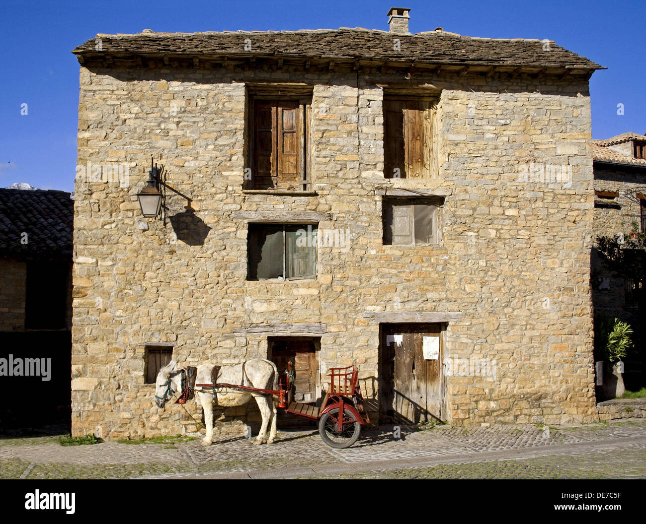 Draft donkey hi-res stock photography and images - Alamy