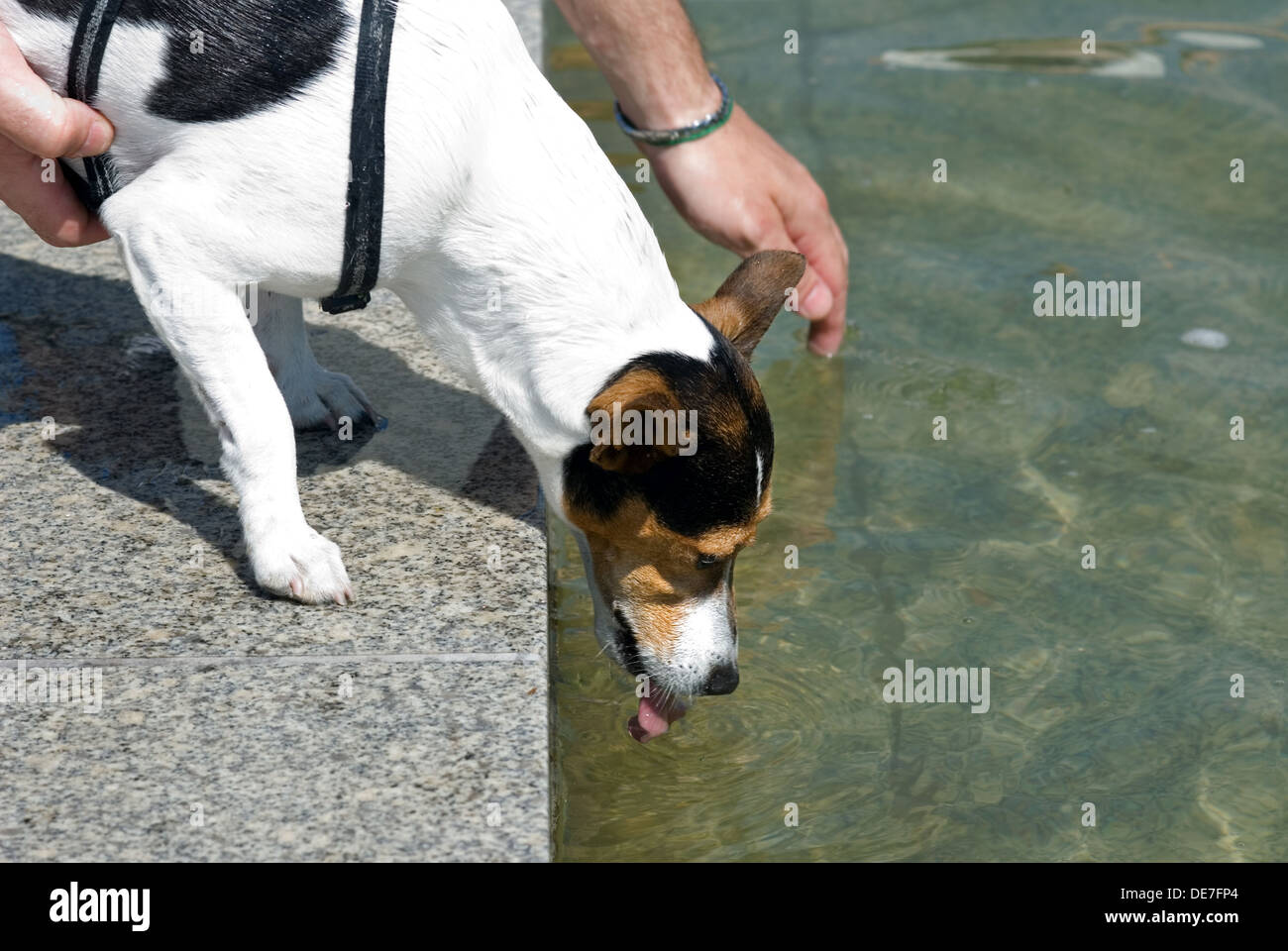 Drinking from a fountain hi-res stock photography and images - Alamy