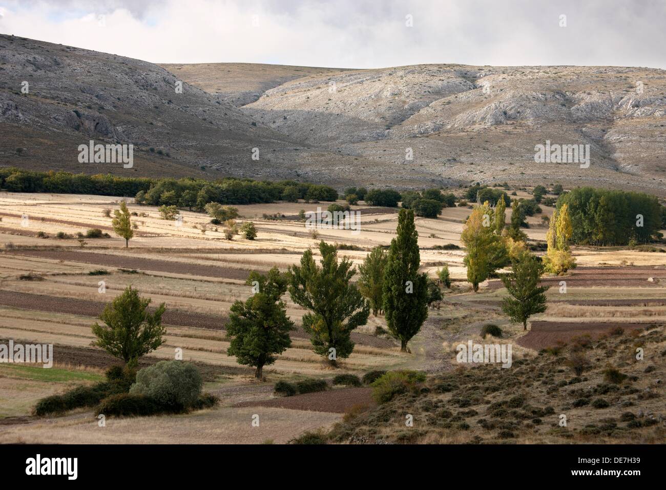 Cueva de agreda hi-res stock photography and images - Alamy