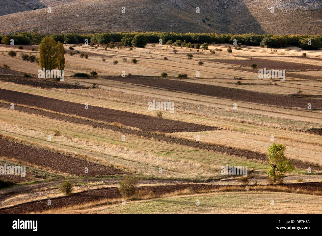 Cueva de agreda hi-res stock photography and images - Alamy