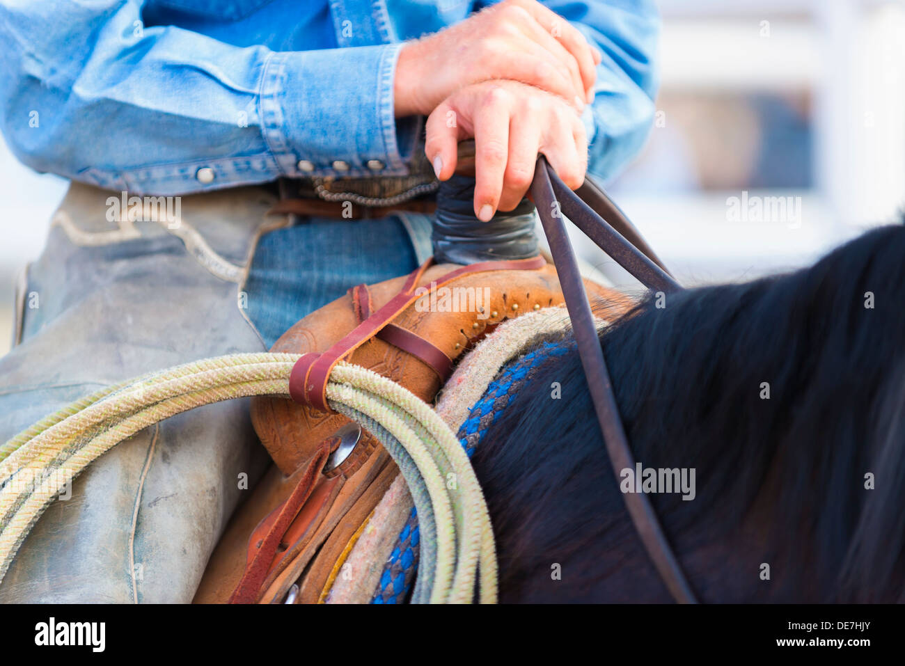 Texas cowboy lasso hi-res stock photography and images - Alamy