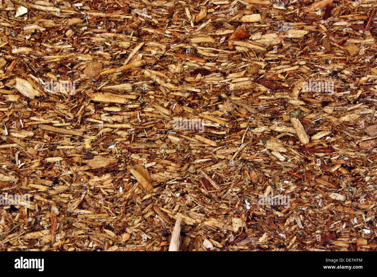 Plywood board texture background wood Stock Photo - Alamy