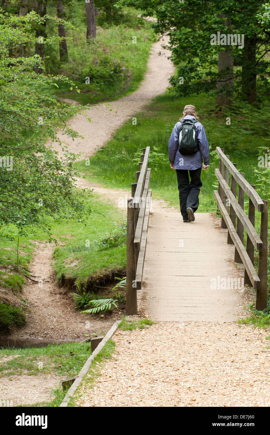 Footpaths walking hi-res stock photography and images - Alamy
