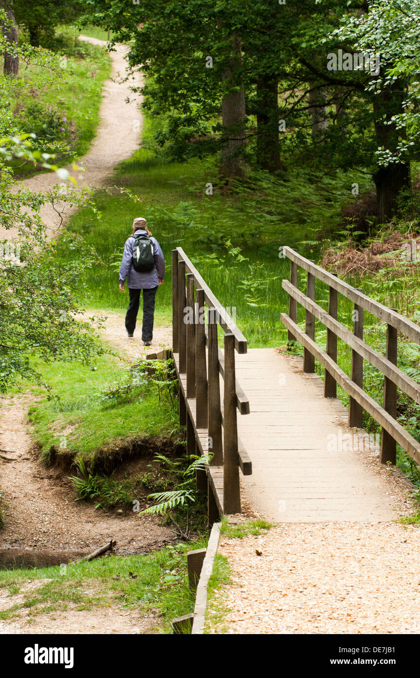 Small Walking Bridge