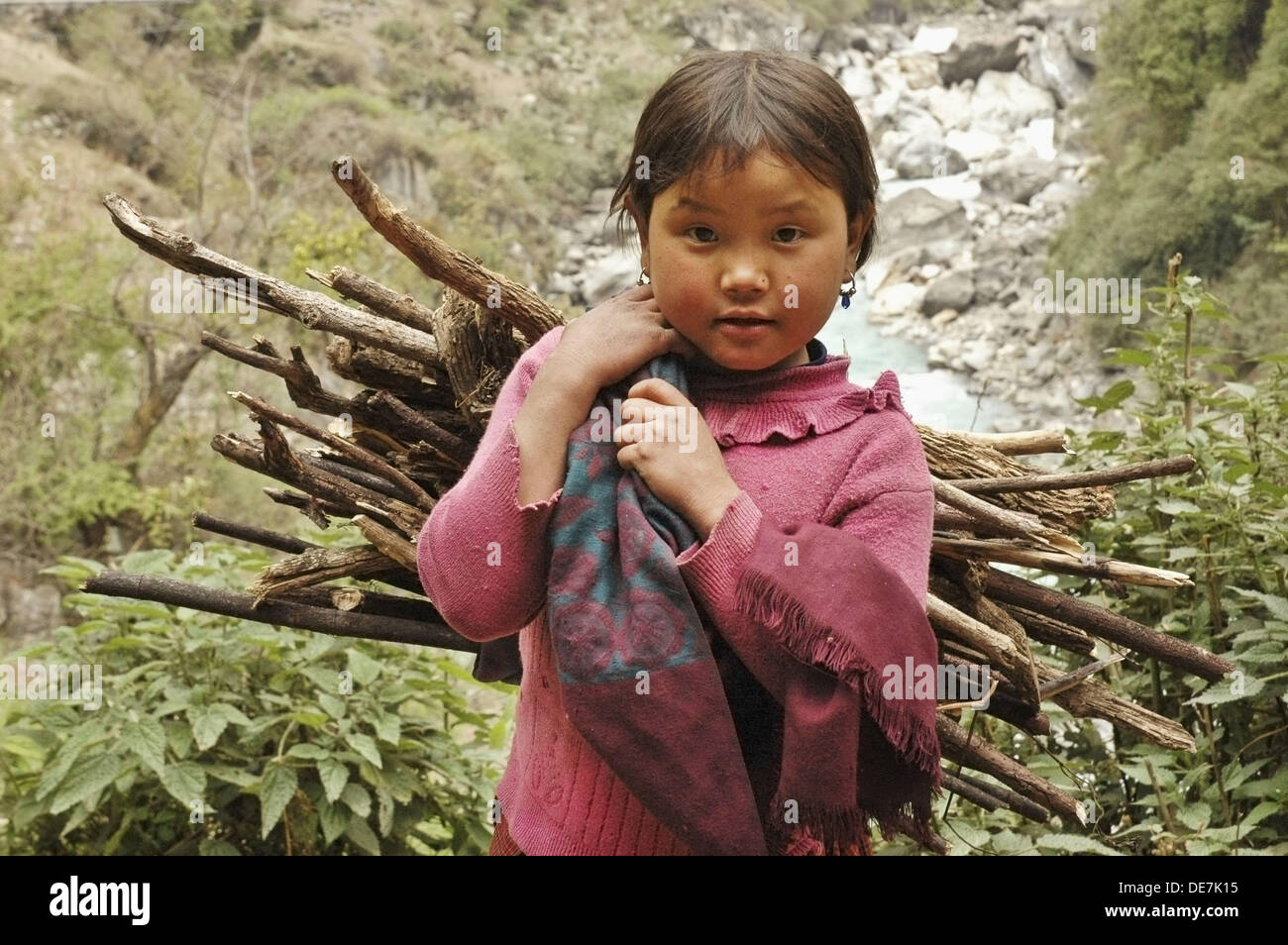 Firewood collecting hi-res stock photography and images - Alamy