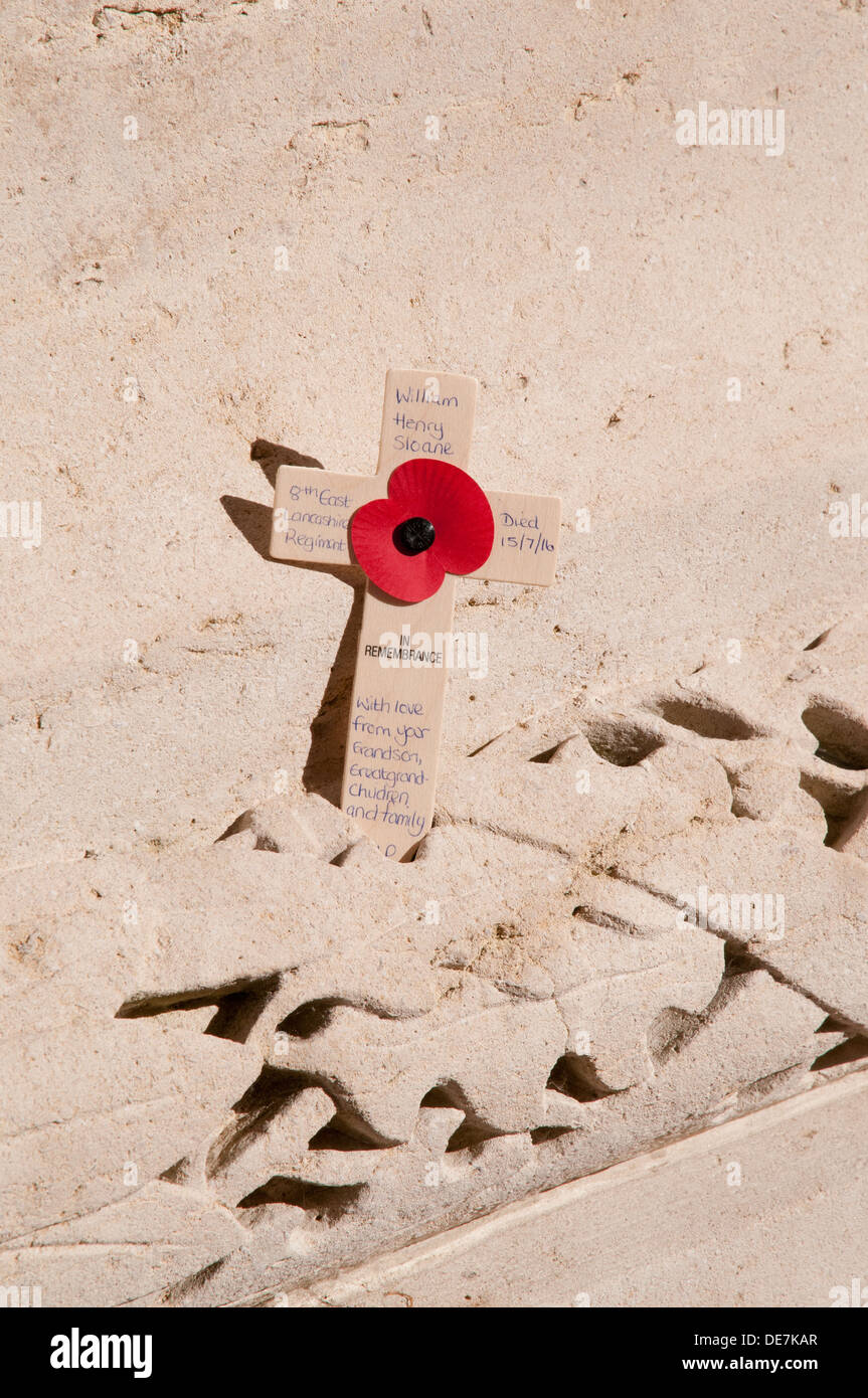 The somme poppy hi-res stock photography and images - Alamy