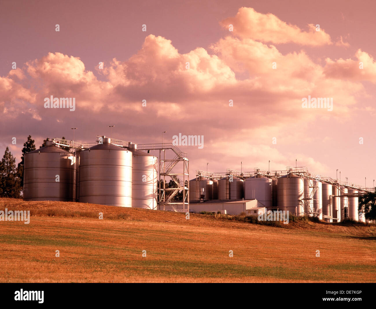 Barossa valley wine makers. Australia Stock Photo - Alamy