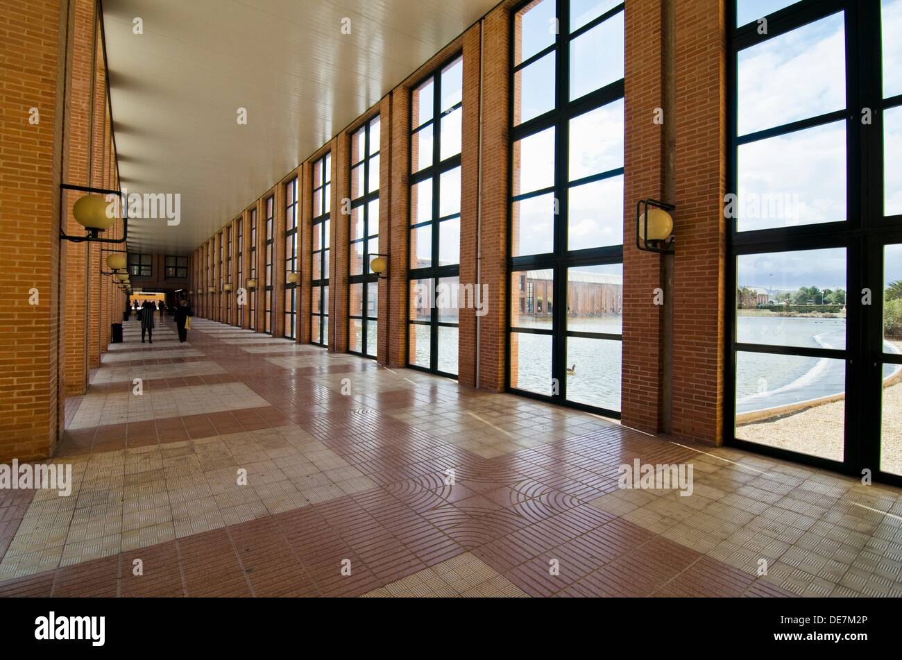 Vine growing techniques hi-res stock photography and images - Alamy