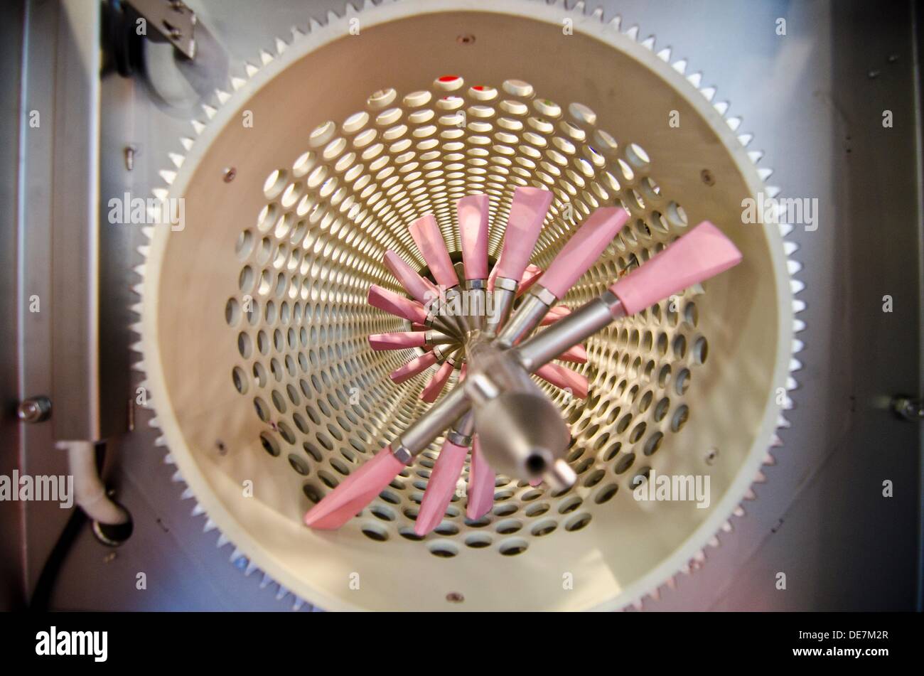 Vine growing techniques hi-res stock photography and images - Alamy