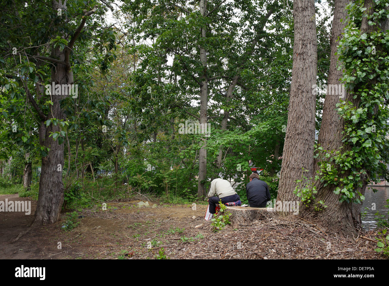 Man sitting on tree stump hi-res stock photography and images - Alamy