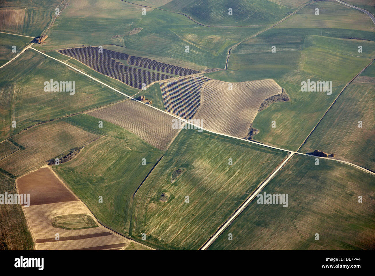 Alloz hi-res stock photography and images - Alamy