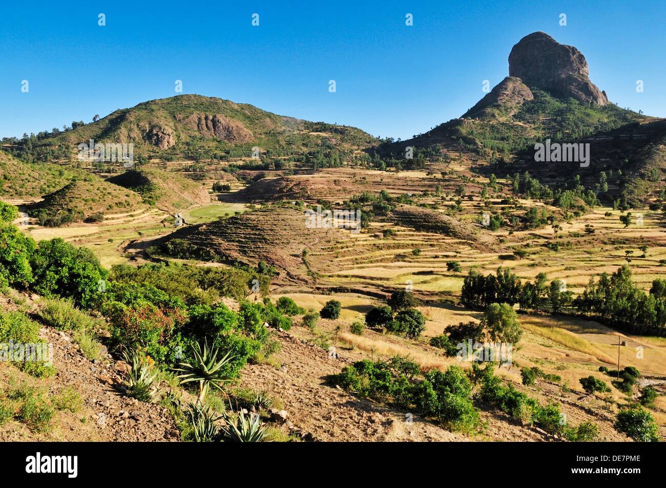Adwa Mountains High Resolution Stock Photography and Images - Alamy