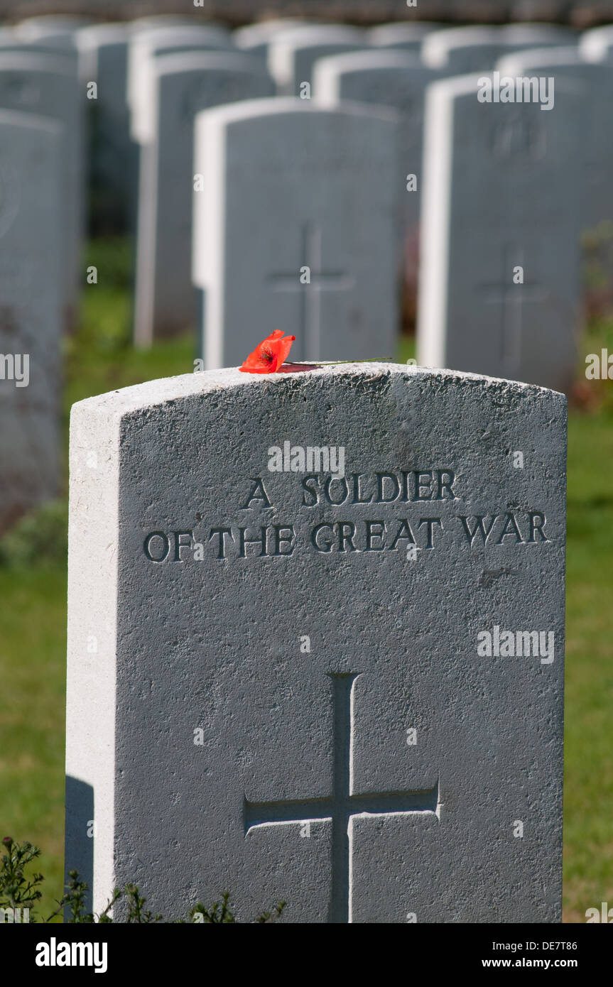 Poppy on headstone in British war cemetery Connaught Cemetery, Thiepval ...