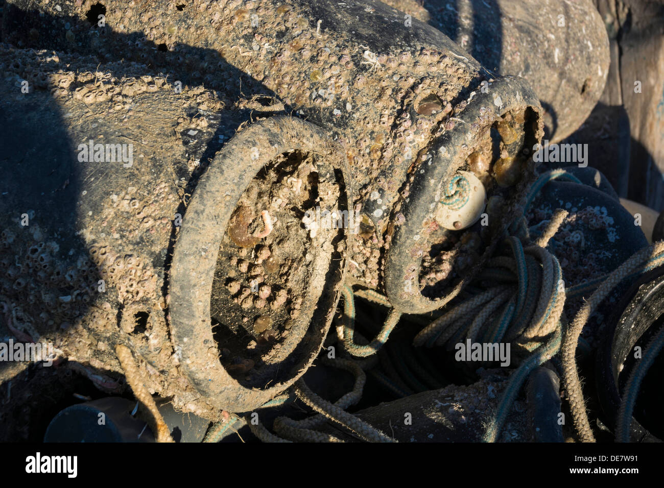 Crustacean covered lobster pots at the quayside Stock Photo - Alamy