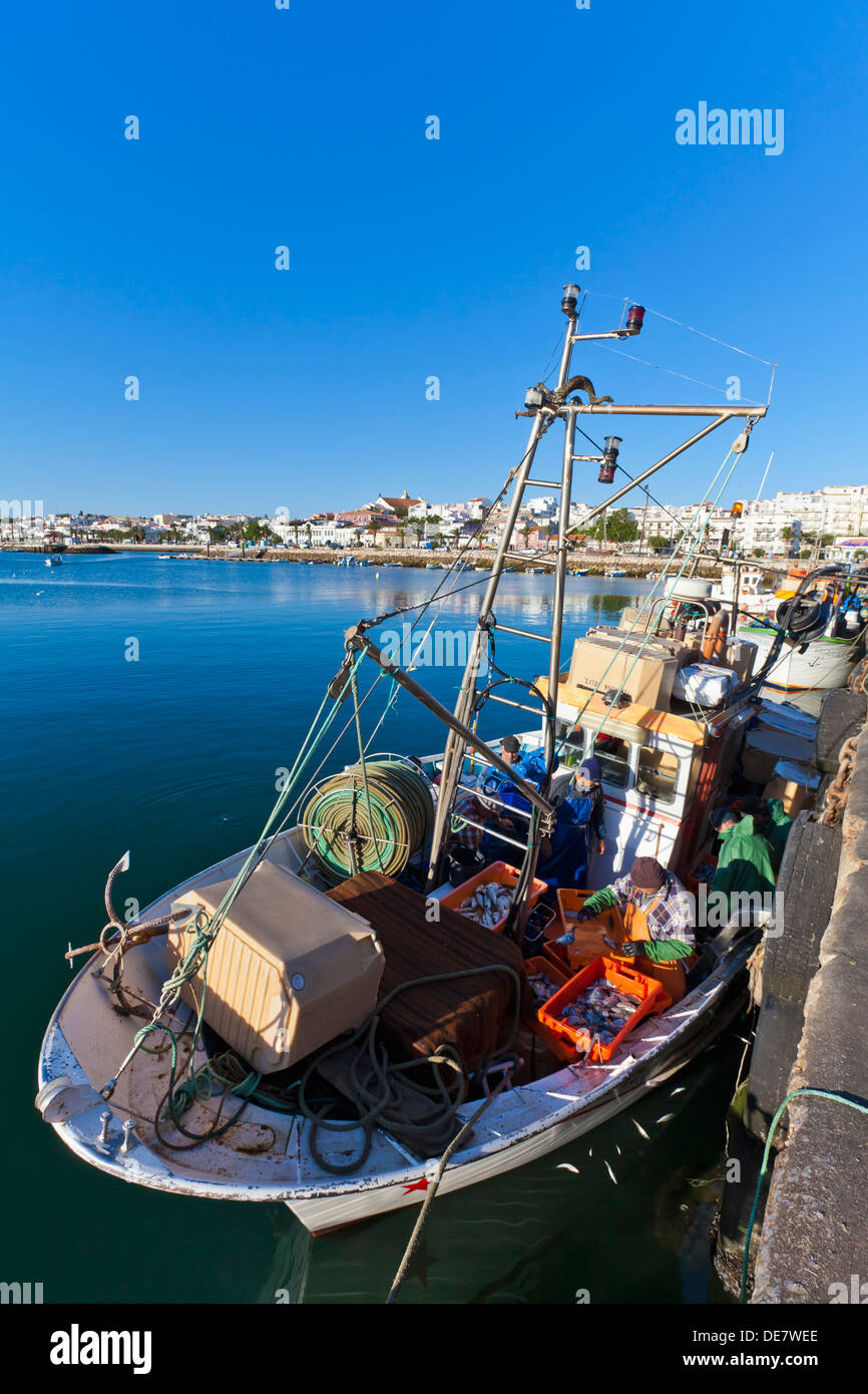 Portugal, Lagos, Fishermen unloading fishes Stock Photo - Alamy