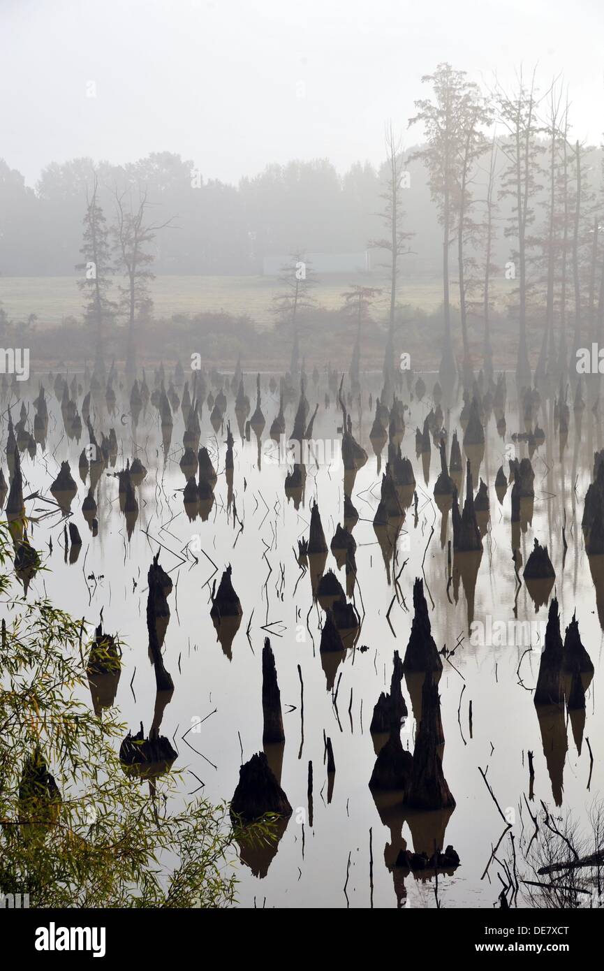 Loosahatchie river hi-res stock photography and images - Alamy