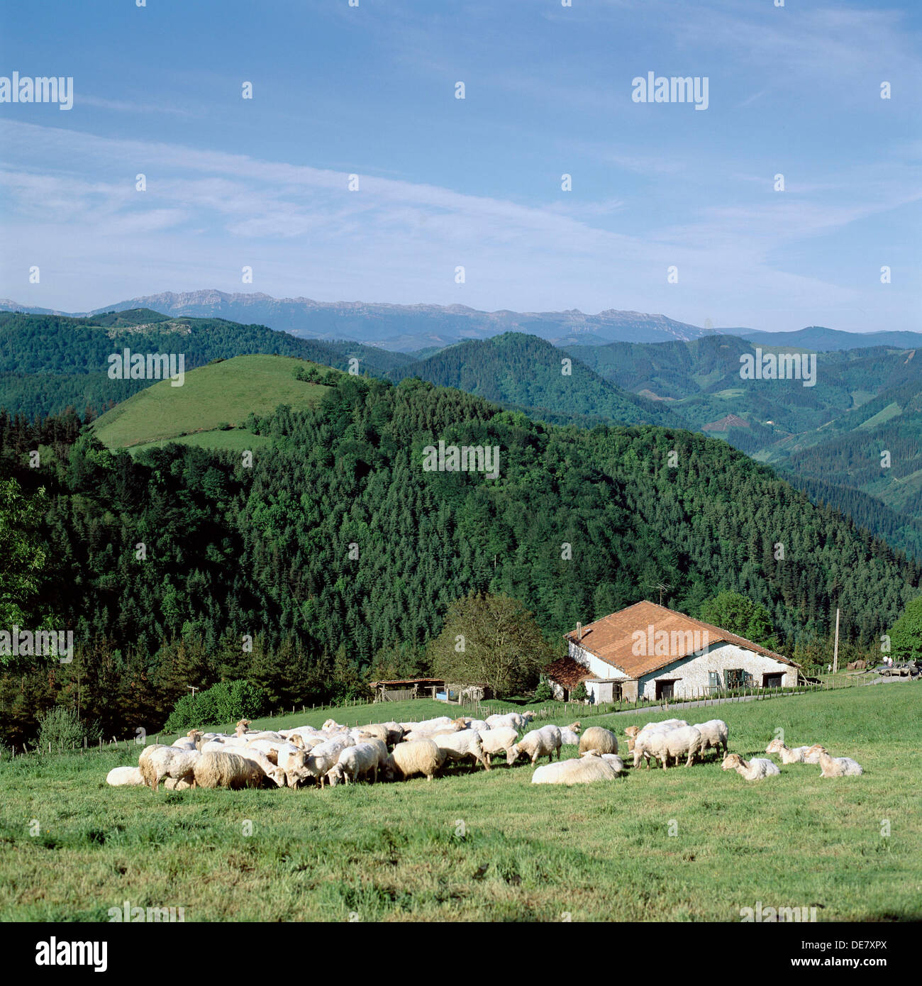 Beizama hi-res stock photography and images - Alamy