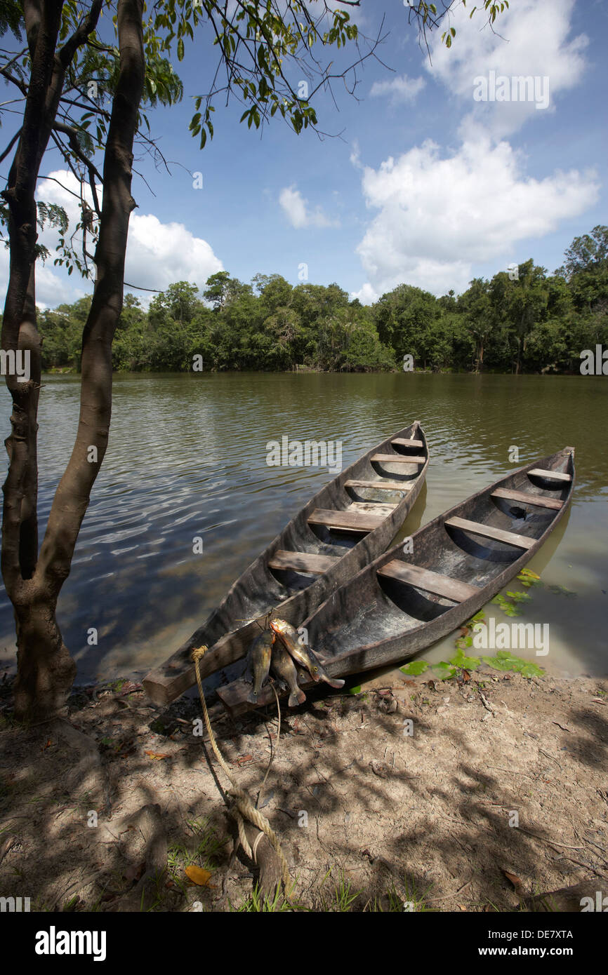 Rewa river, guyana hi-res stock photography and images - Alamy