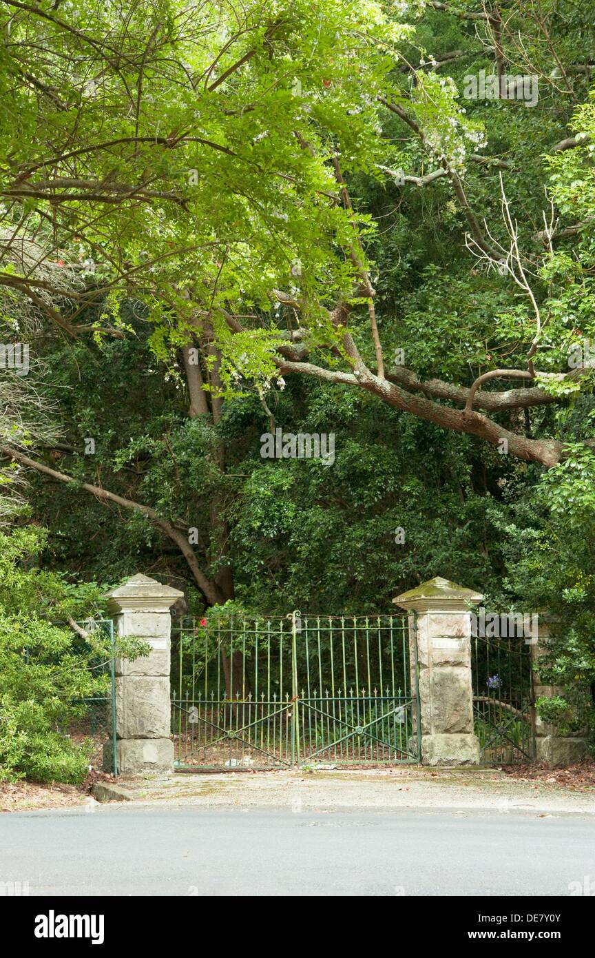 Tree lined entry hi-res stock photography and images - Alamy