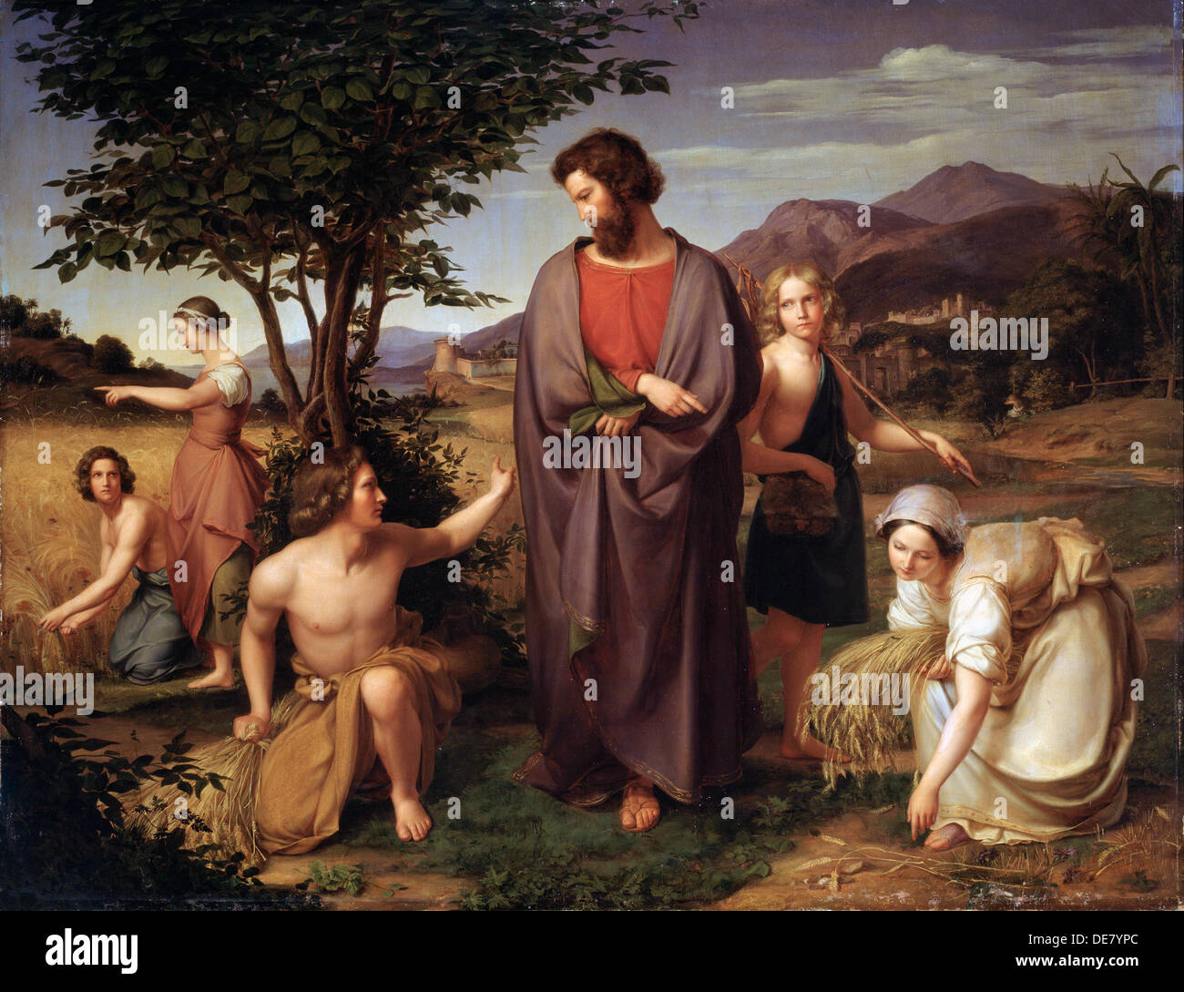 Boazs field hi-res stock photography and images - Alamy