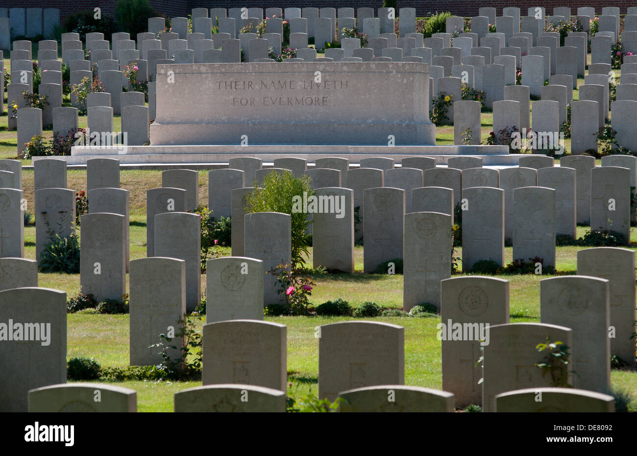Mametz wood hi-res stock photography and images - Alamy