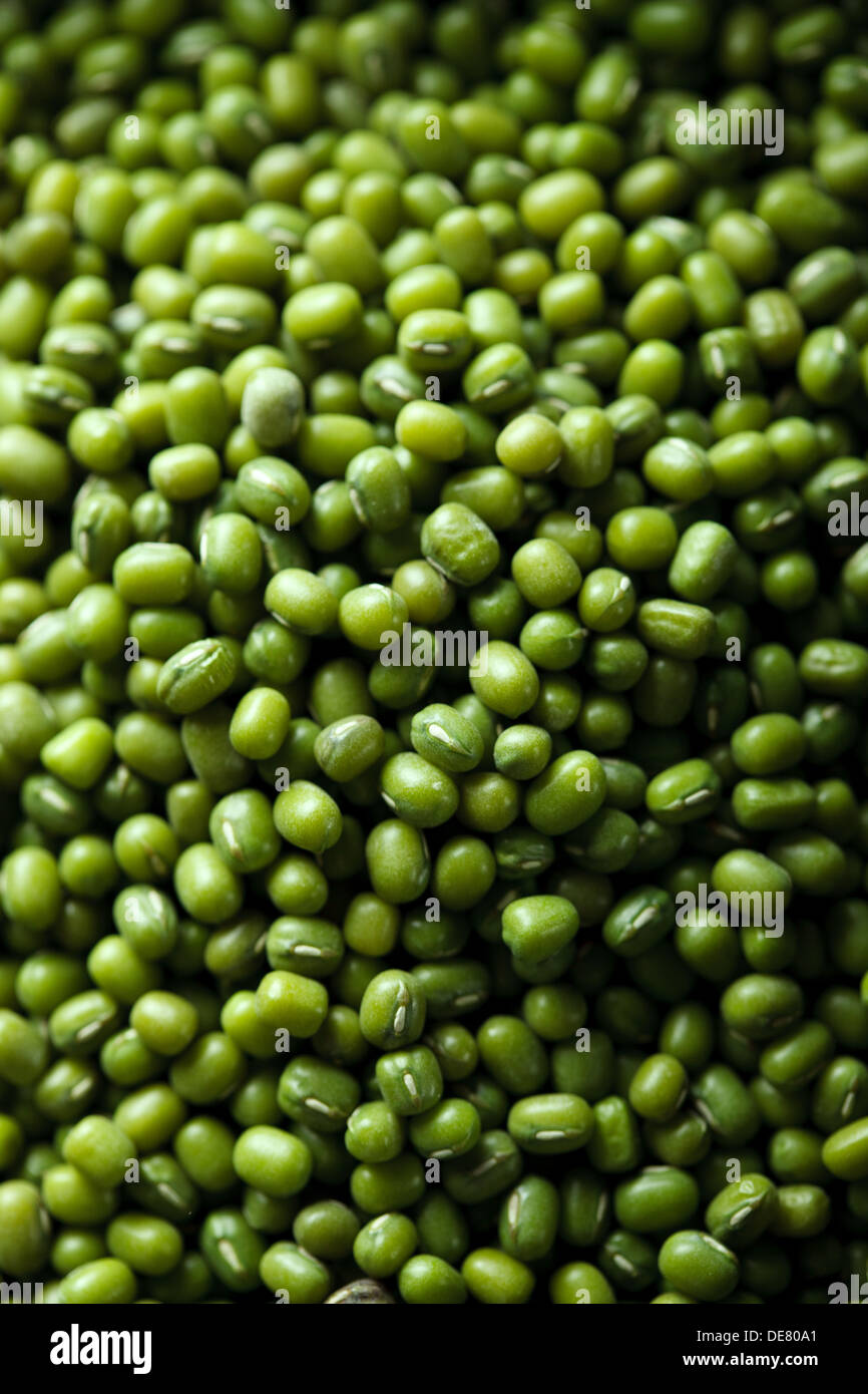 Close-up of mung bean Stock Photo - Alamy