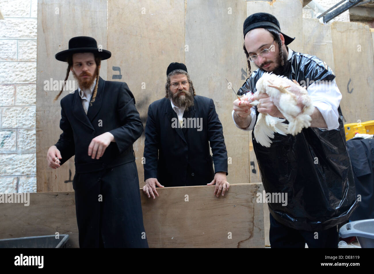 Kosher Chicken slaughter by a Shohet of the ultra religious Neturei ...
