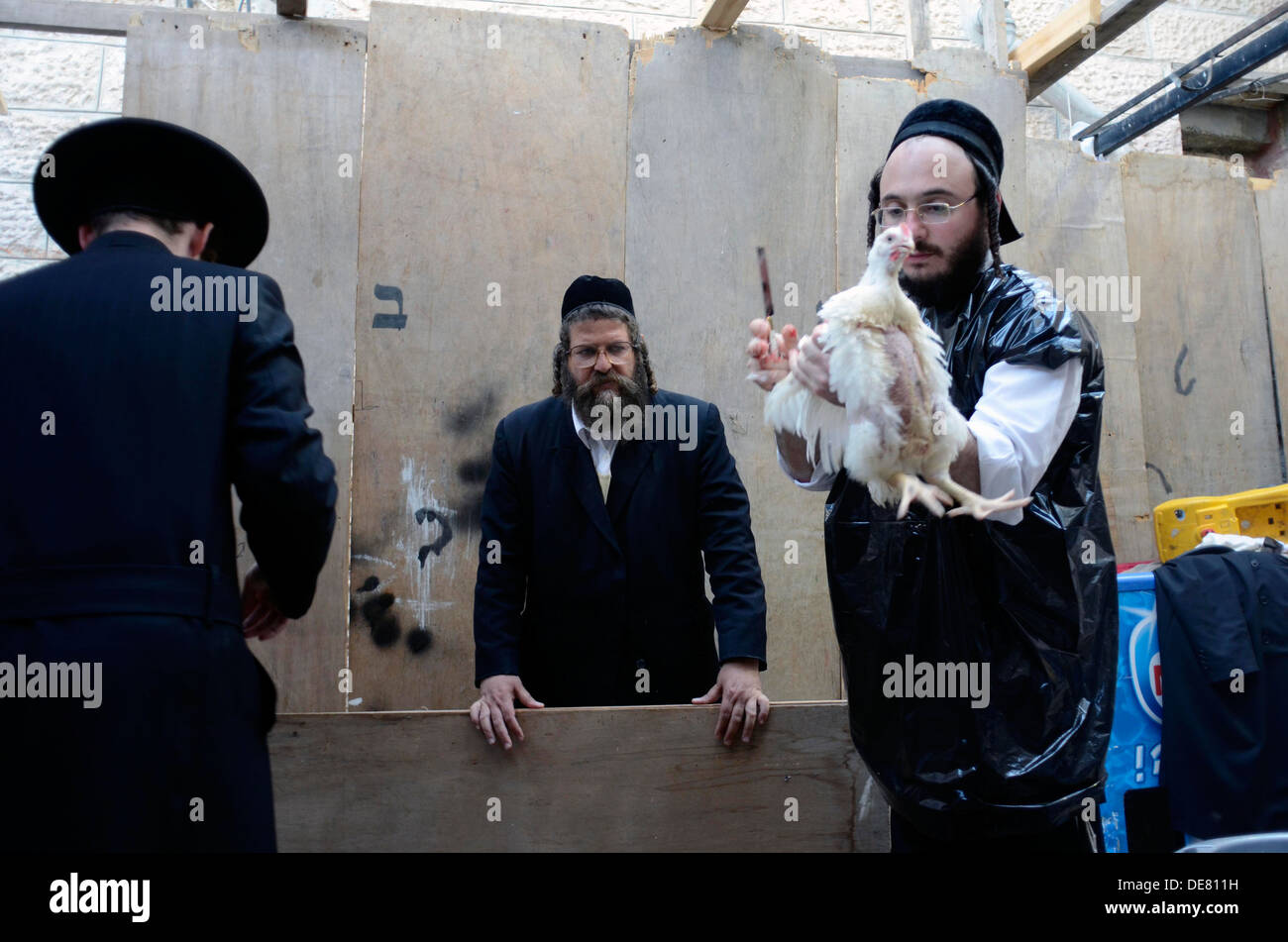 Kosher slaughter hi-res stock photography and images - Alamy