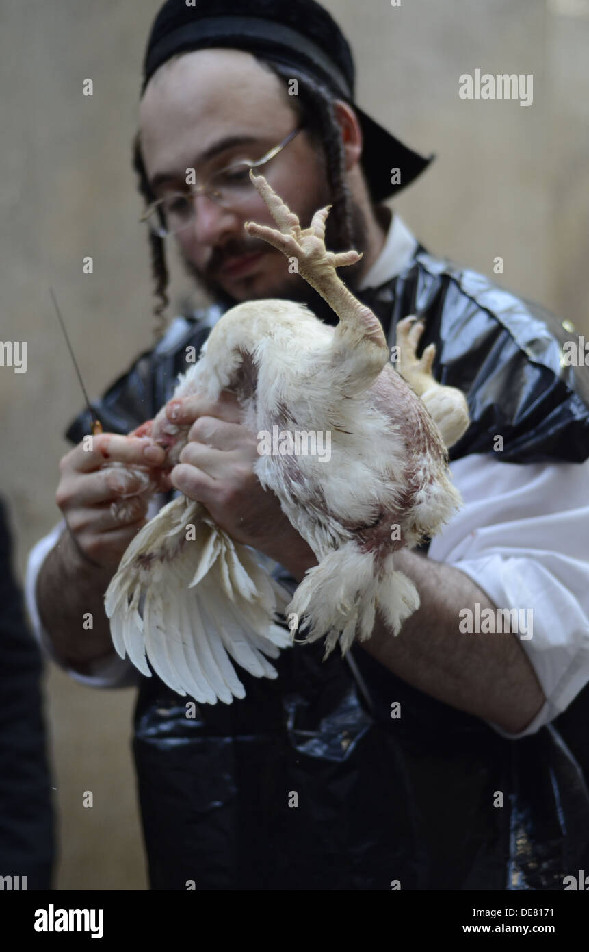 Shechitah hi-res stock photography and images - Alamy