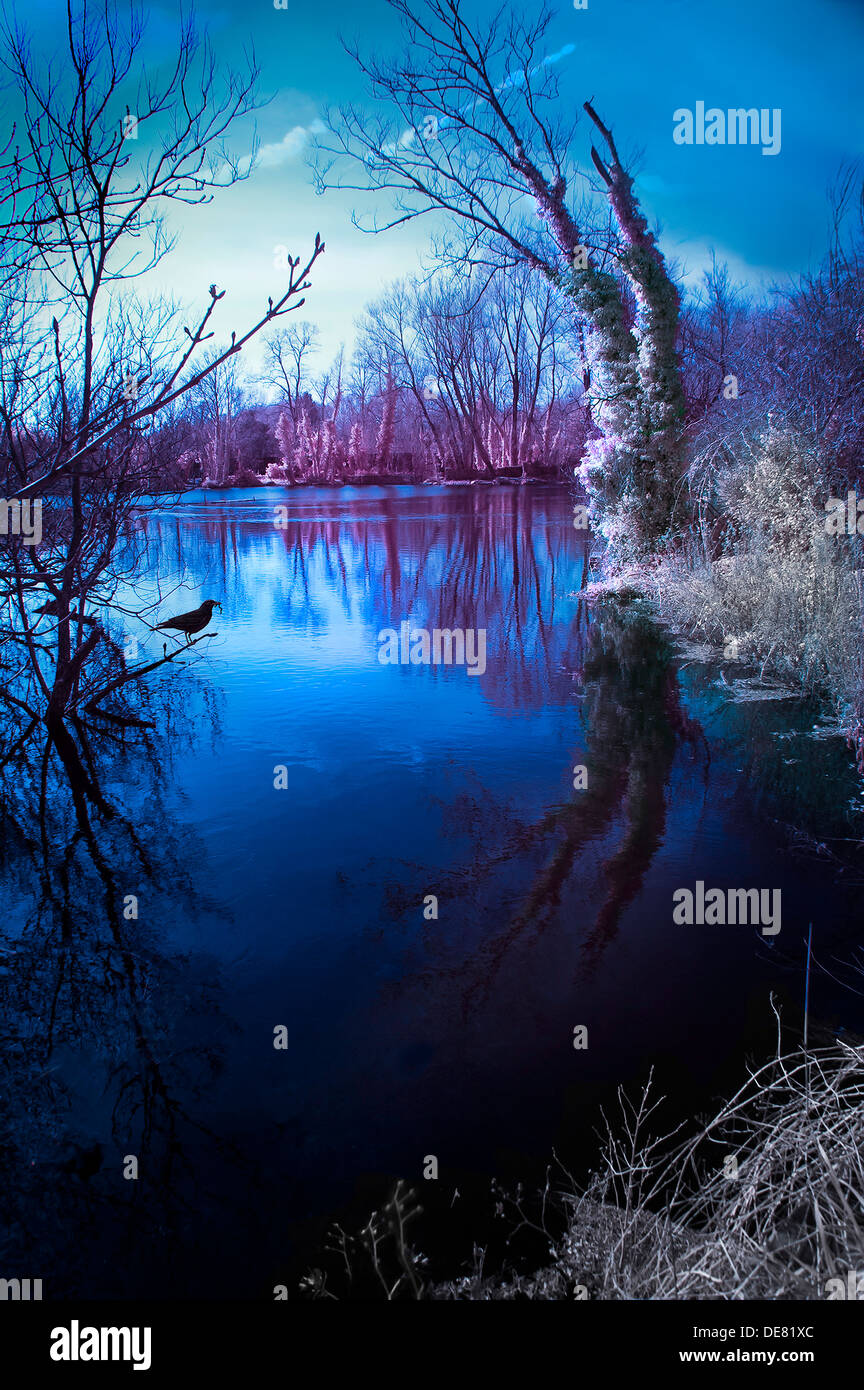 Spooky Lake High Resolution Stock Photography and Images - Alamy