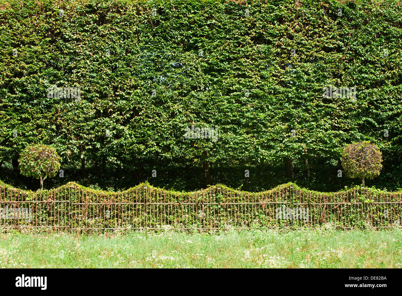 Park hedgerow hi-res stock photography and images - Alamy