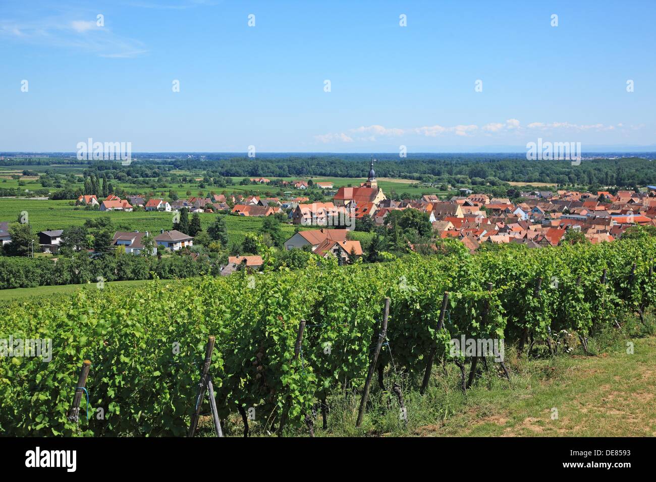 Ingersheim hi-res stock photography and images - Alamy