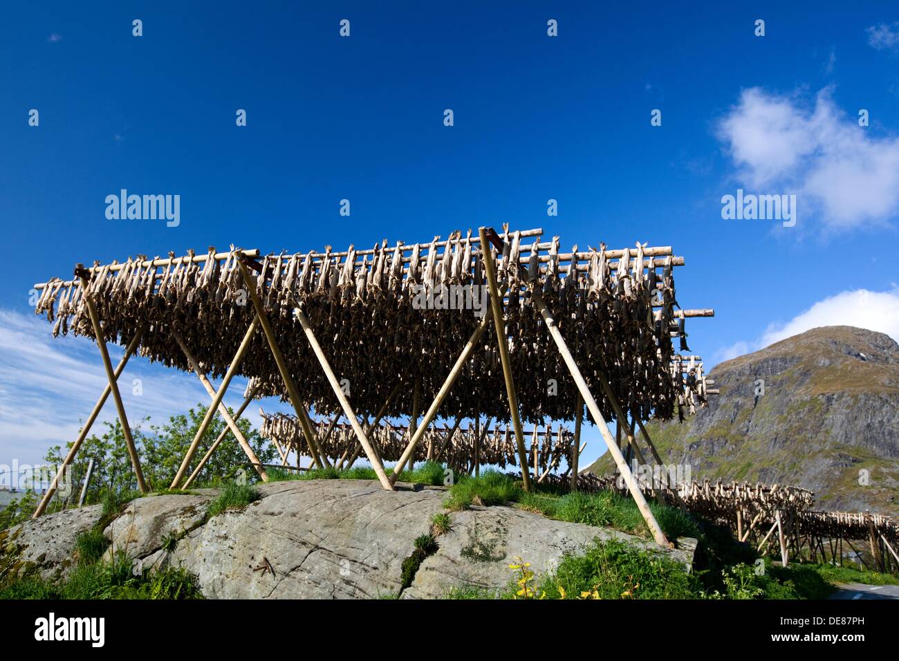 Hanging cod fish hi-res stock photography and images - Alamy