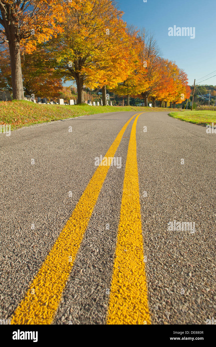 Road tree curve center hi-res stock photography and images - Alamy