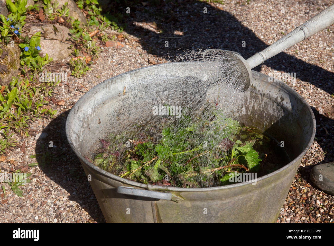 stinging nettle, biological biopest control, organic fertiliser ...